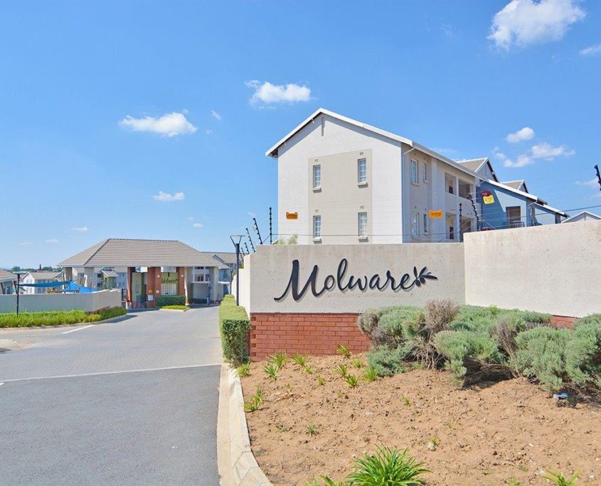 Rentals | IHS Property